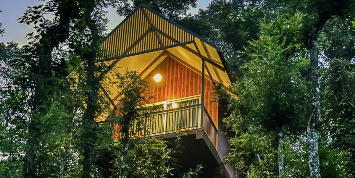 TreeTop Haven Wayanad - Whitetrip